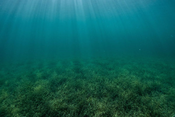 World’s first crypto water token: The combination of blockchain and ...